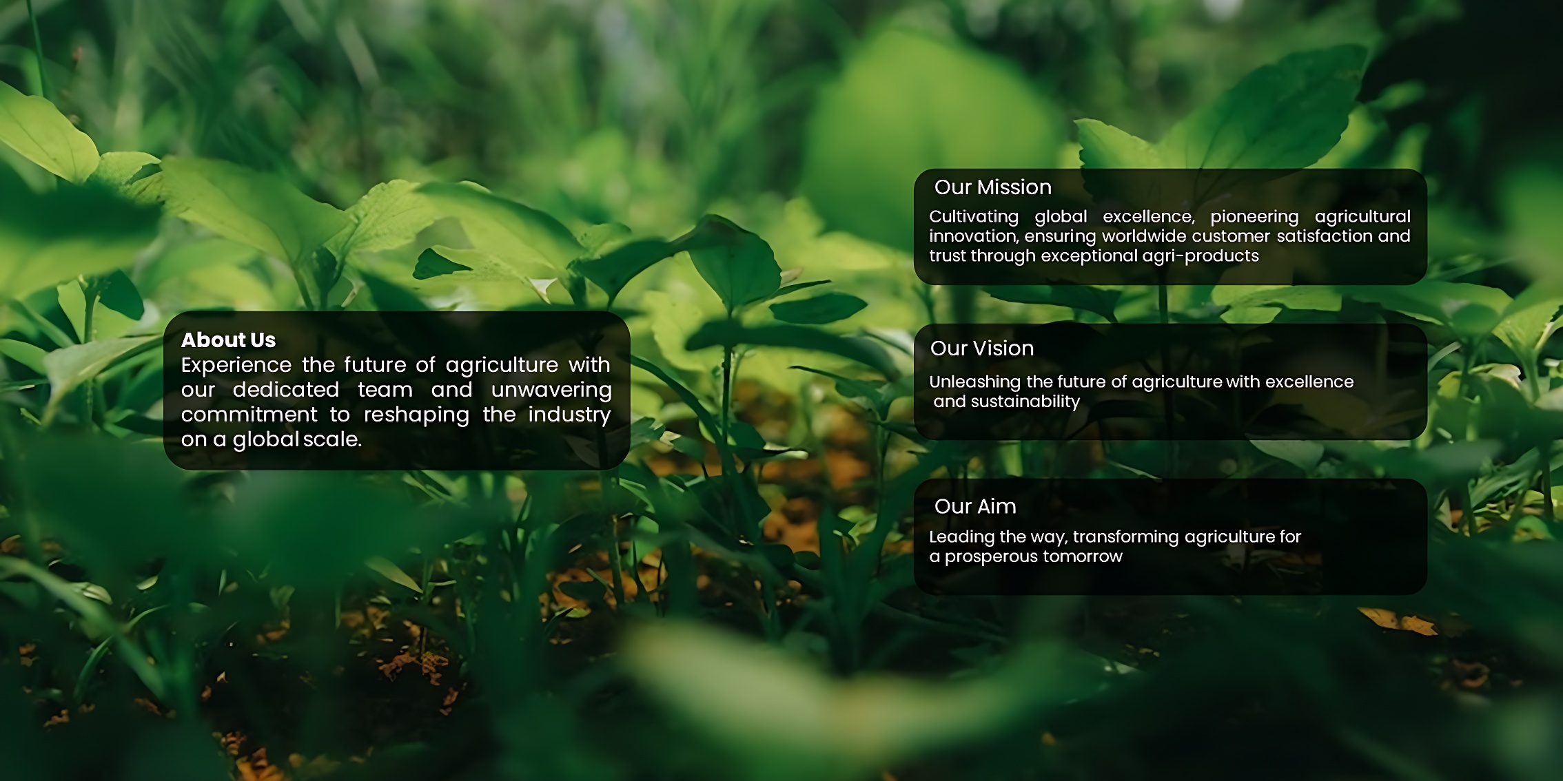 About Us – HN Group