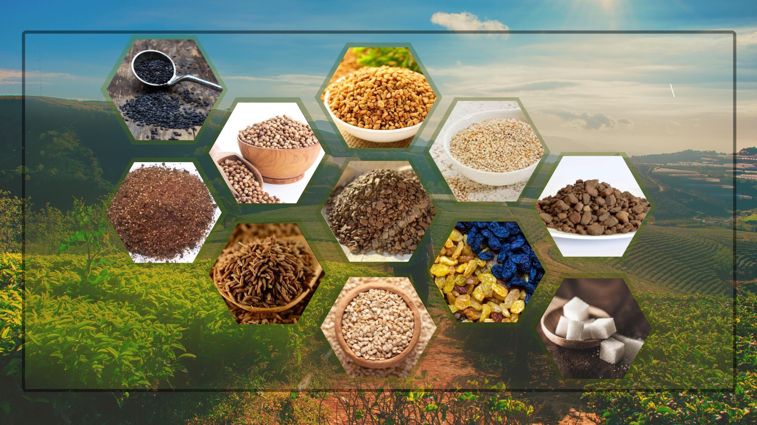 HN Group – An Endeavor To Achieve